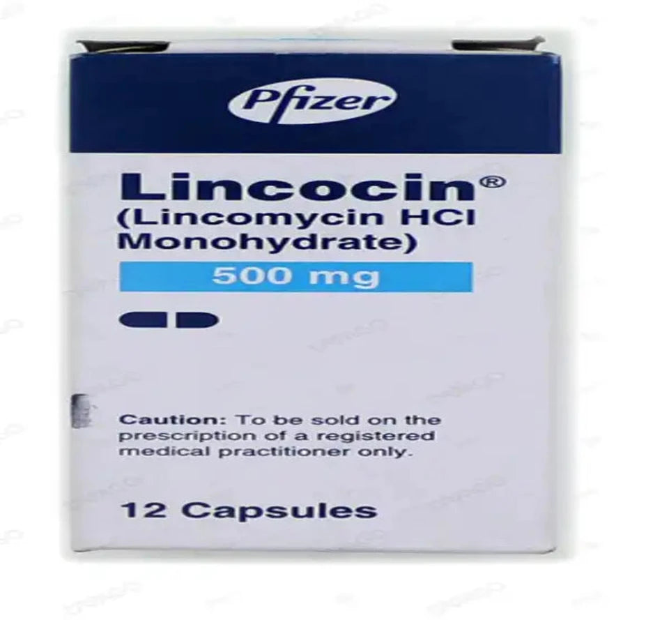 LINCOCIN - CSH Pharmacy - Order Online - Fast Delivery in Lahore